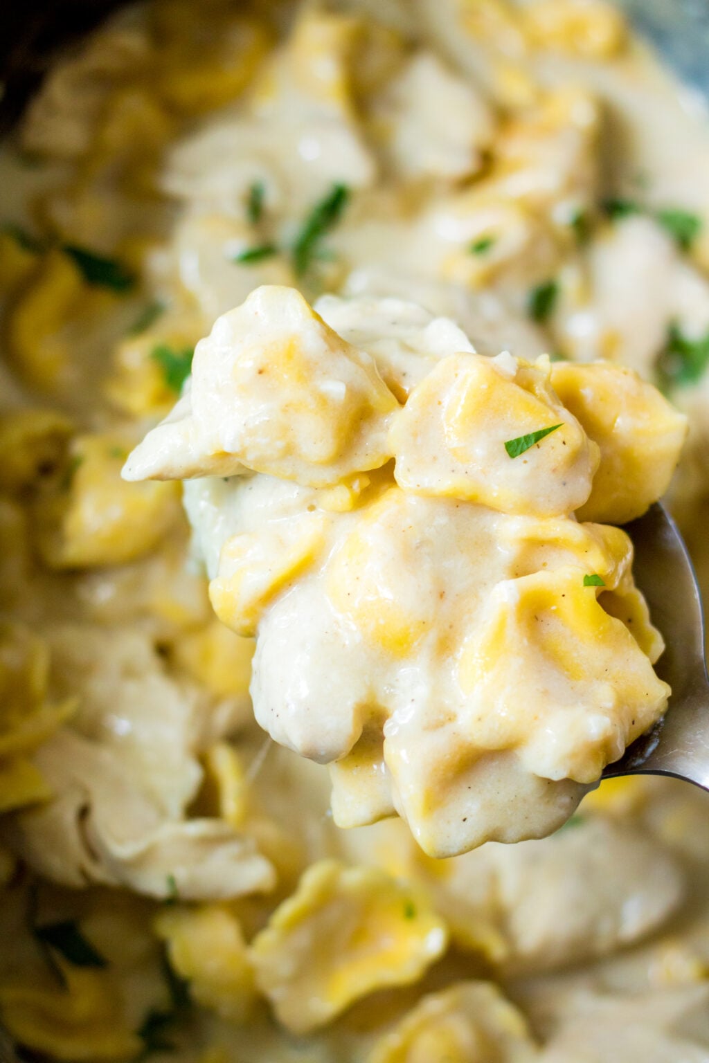Slow Cooker Chicken Tortellini - My Incredible Recipes