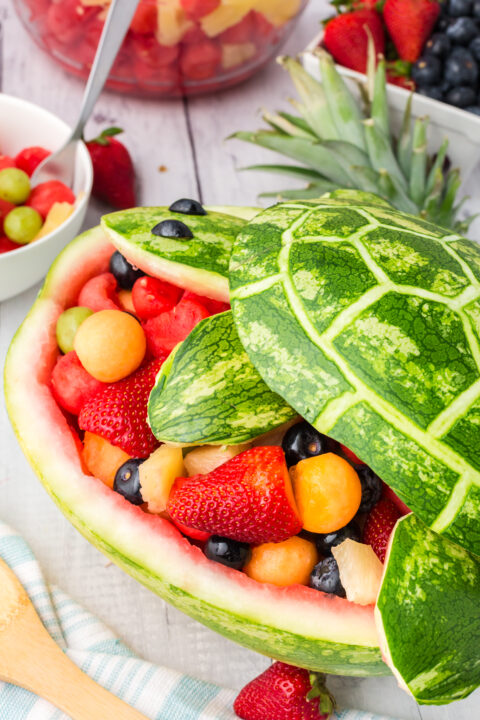 Turtle Watermelon Fruit Salad - My Incredible Recipes