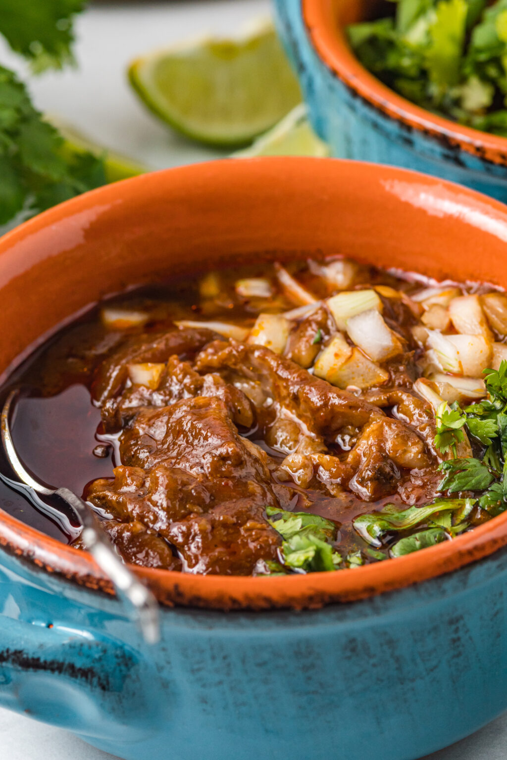 Beef Birria - My Incredible Recipes