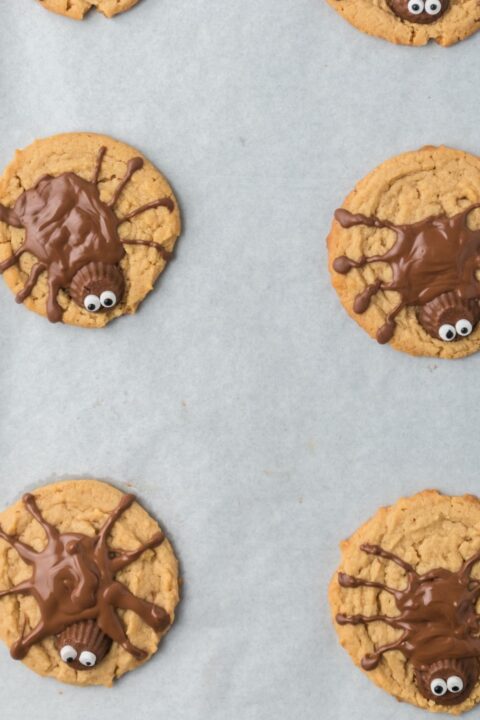 Peanut Butter Spider Cookies - My Incredible Recipes