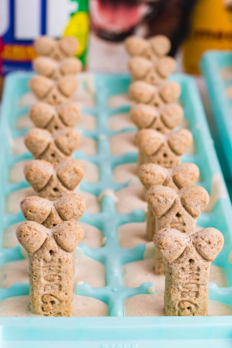 Dog Ice Cream - My Incredible Recipes