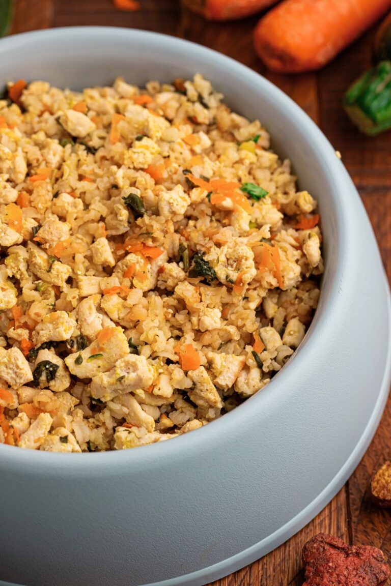 Homemade Turkey and Rice Dog Food with Veggies - My Incredible Recipes